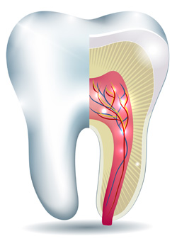 Wurzelbehandlung bei Zahnersatz - Zahnarzt Ostholstein